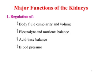 dult health nursing Renal Physiology.pptx