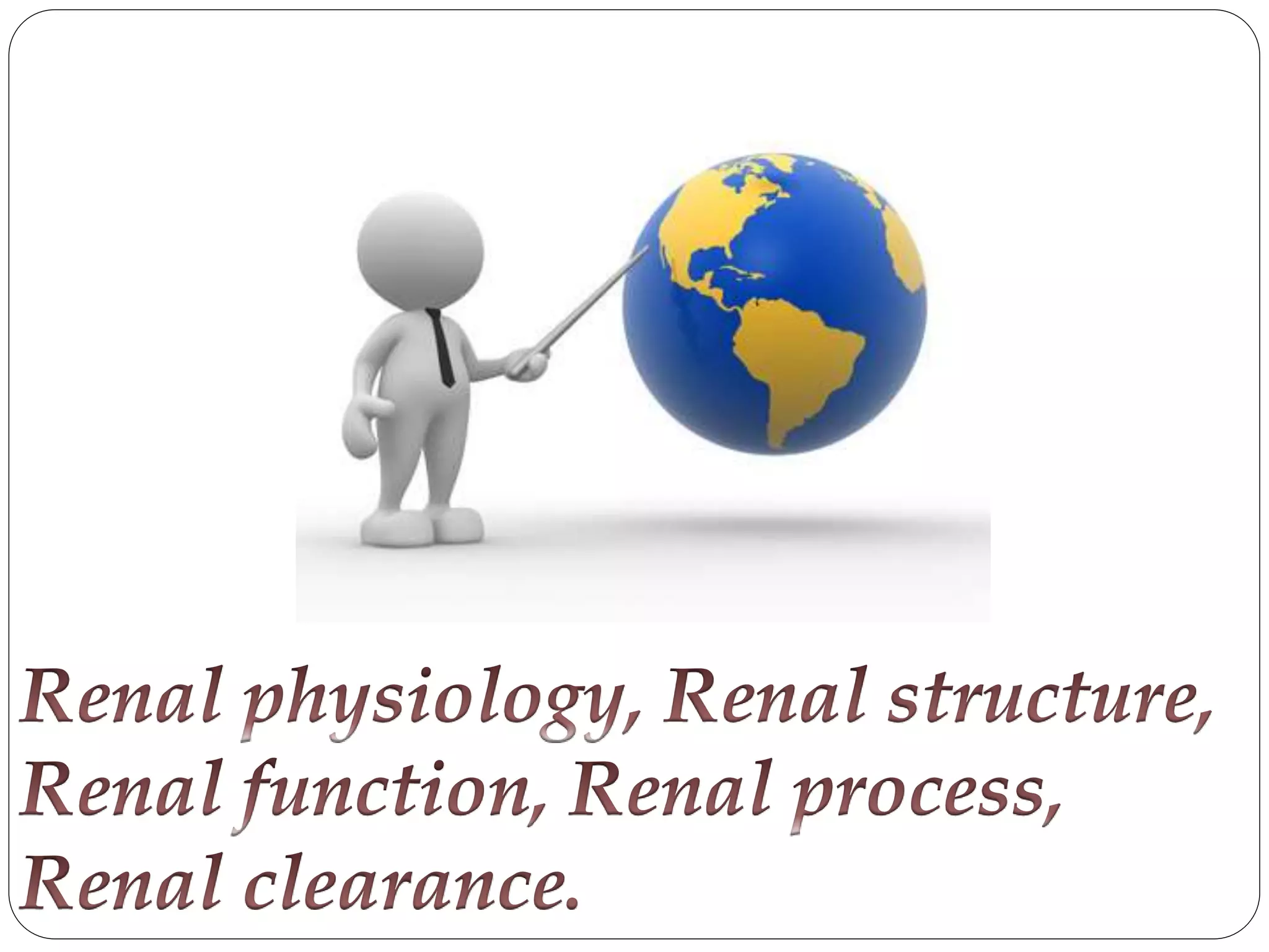 Renal physiology, Renal structure, Renal function, Renal process, Renal ...