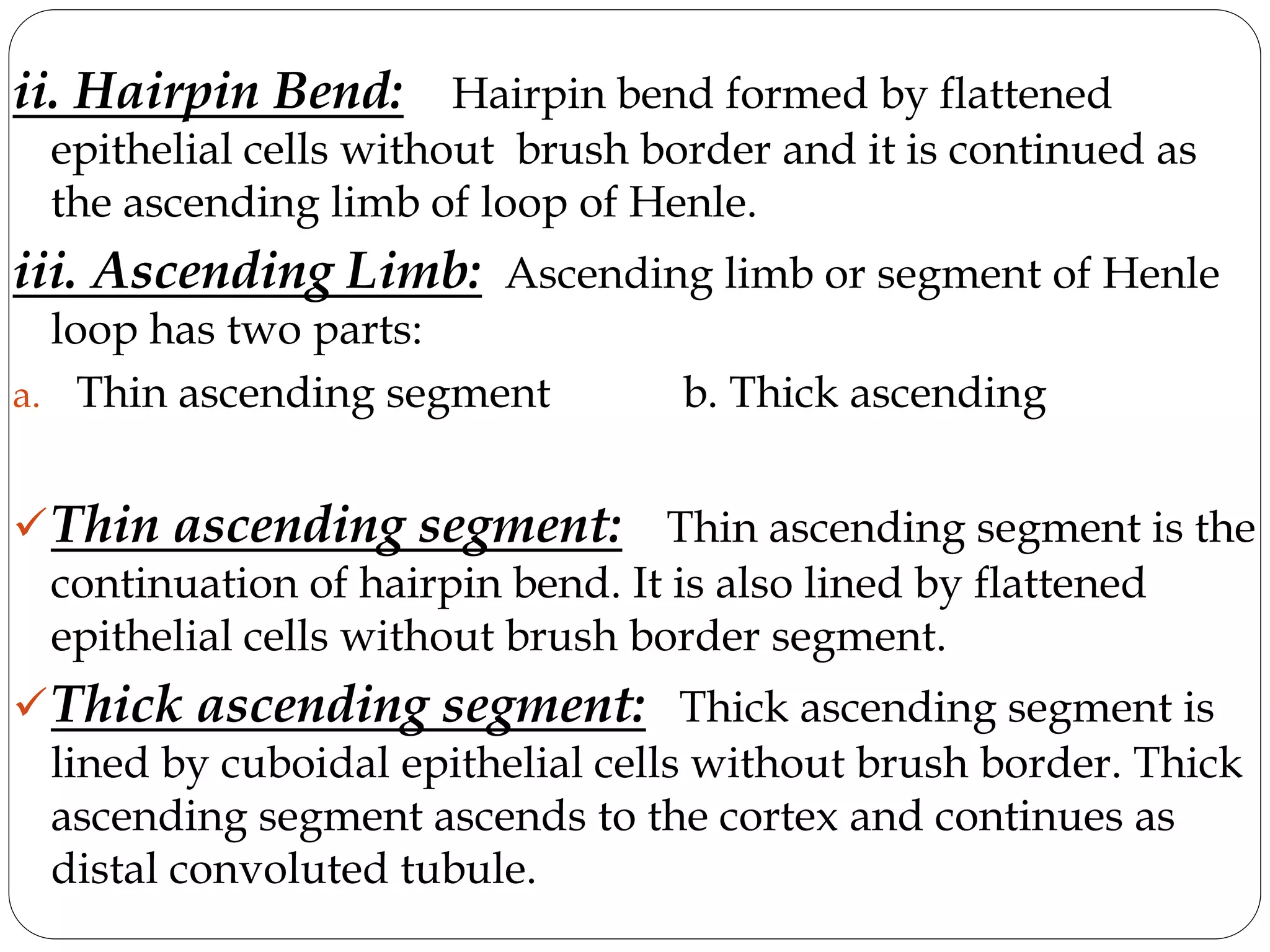 Renal physiology, Renal structure, Renal function, Renal process, Renal ...