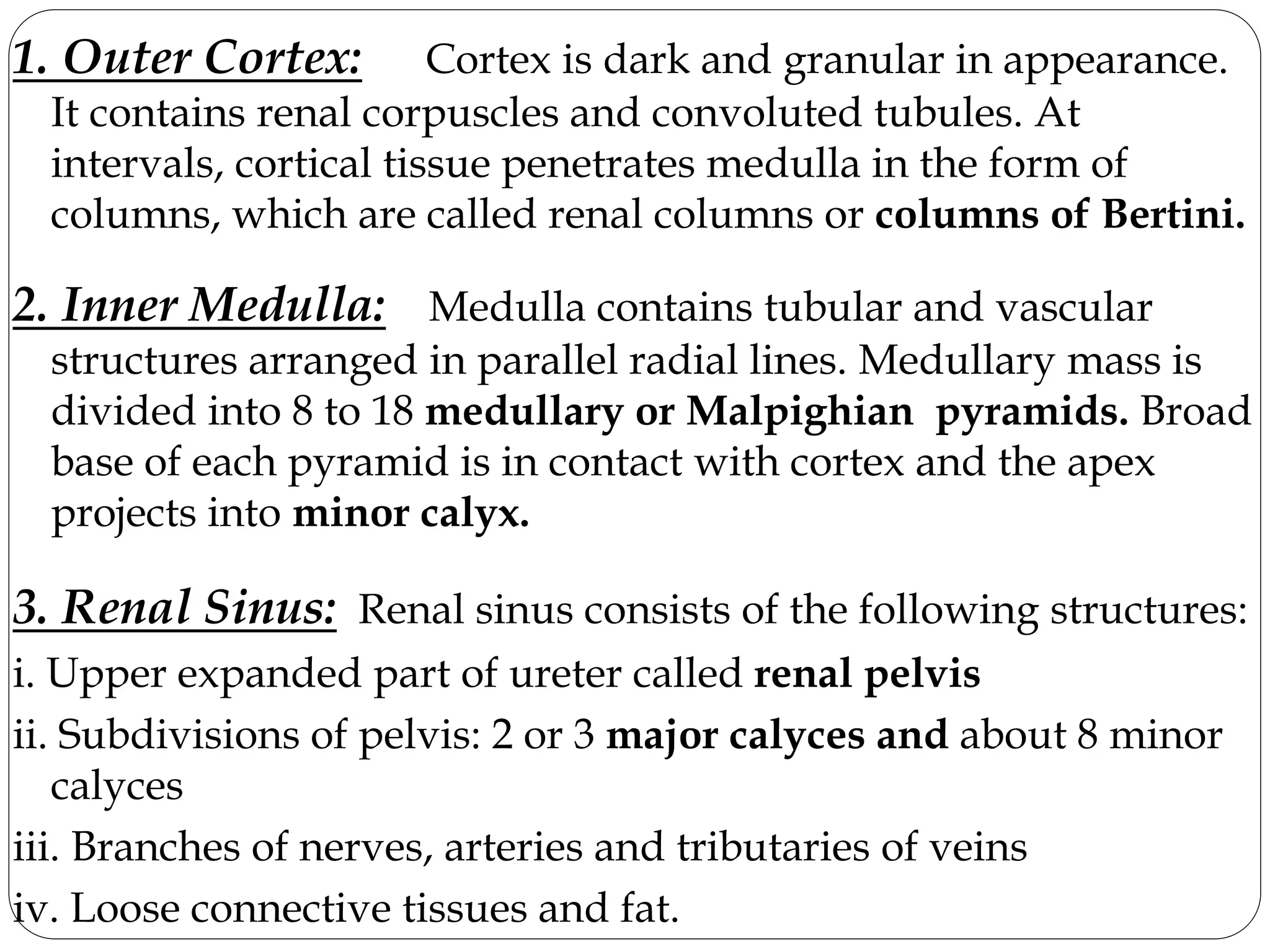Renal physiology, Renal structure, Renal function, Renal process, Renal ...