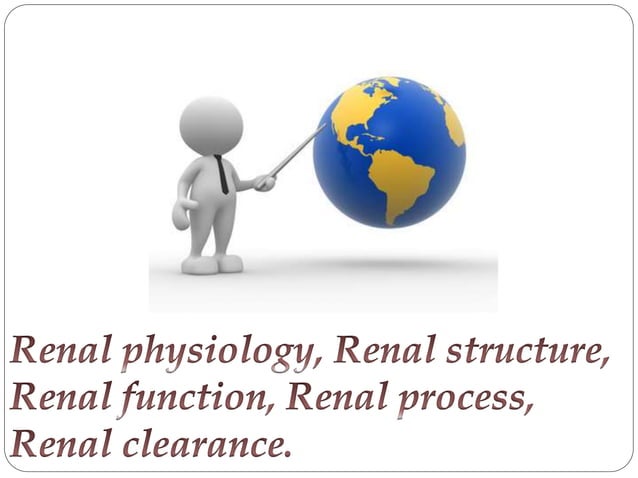 Renal physiology, Renal structure, Renal function, Renal process, Renal ...