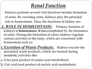 Renal physiology, Renal structure, Renal function, Renal process, Renal ...
