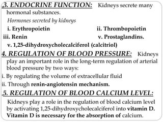 Renal physiology, Renal structure, Renal function, Renal process, Renal ...
