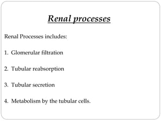 Renal physiology, Renal structure, Renal function, Renal process, Renal ...