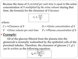 Renal physiology, Renal structure, Renal function, Renal process, Renal ...