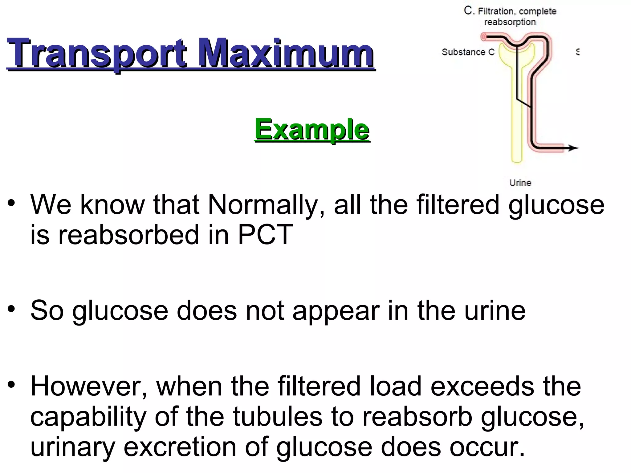 Renal physiology 3 | PPT