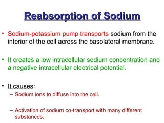 Renal physiology 3 | PPT