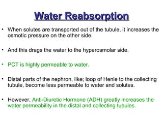 Renal physiology 3 | PPT