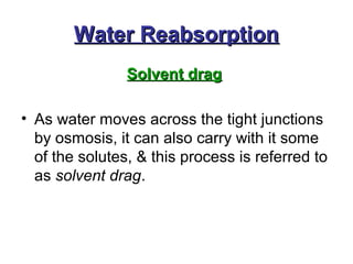 Renal physiology 3 | PPT
