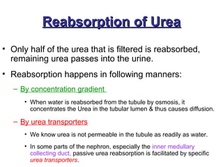 Renal physiology 3 | PPT