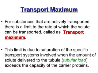 Renal physiology 3 | PPT