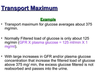 Renal physiology 3 | PPT
