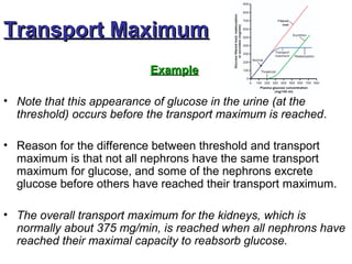 Renal physiology 3 | PPT