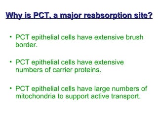 Renal physiology 4 | PPT