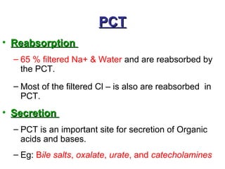 Renal physiology 4 | PPT | Chemistry | Science