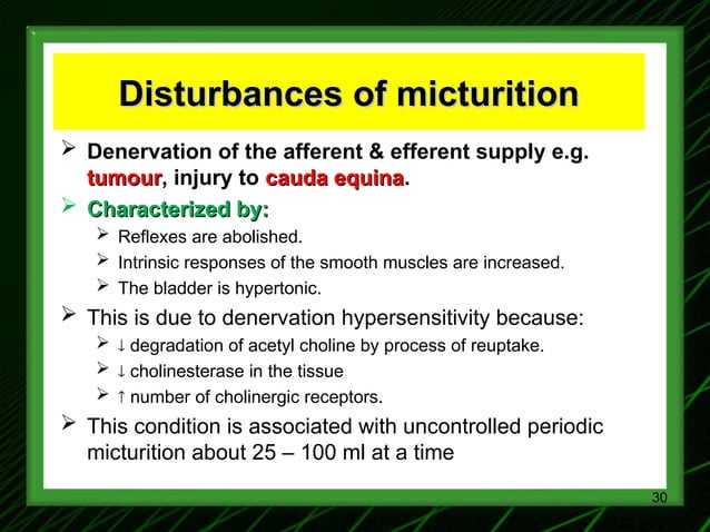 Renal Physiology 4(Micturition).ppt anatomy | PPT