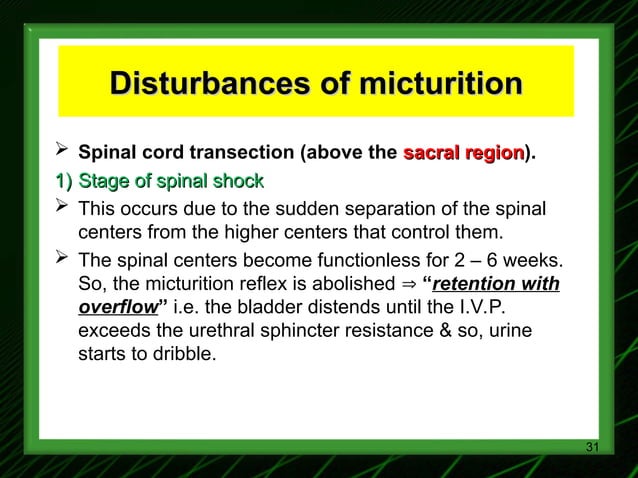 Renal Physiology 4(Micturition).ppt anatomy | PPT