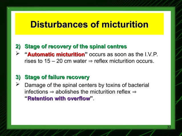 Renal Physiology 4(Micturition).ppt anatomy | PPT