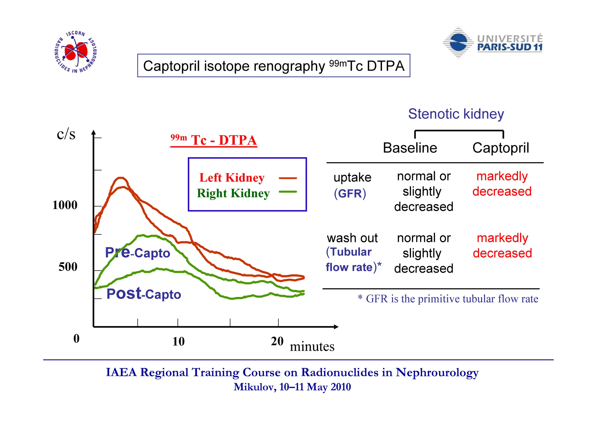 Renal_Physiology_and_pathophysiology_of_the_kidney.pdf