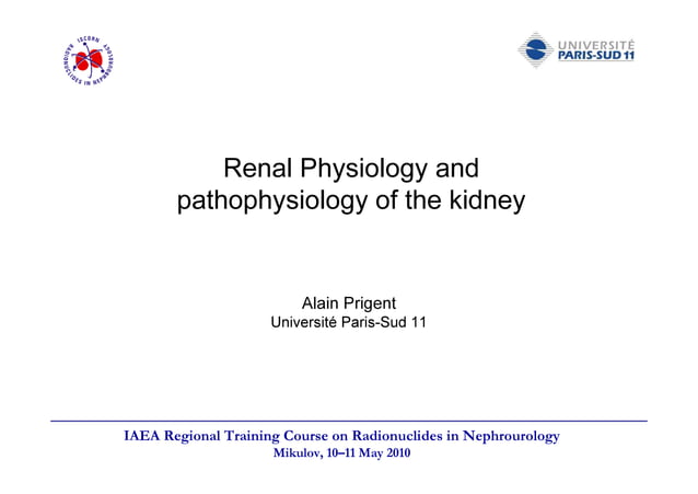 Renal_Physiology_and_pathophysiology_of_the_kidney.pdf