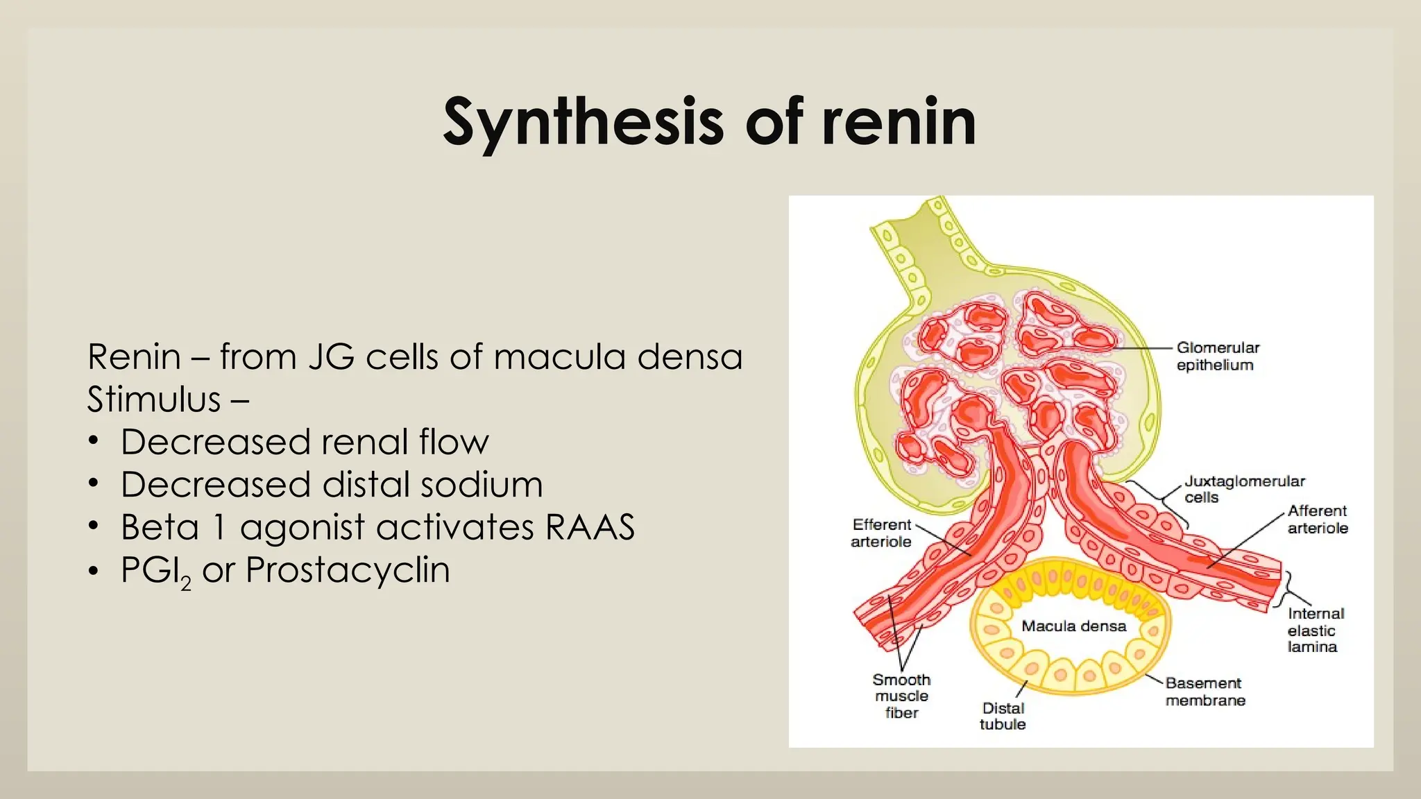 Renal Physiology and its regulation.pptx