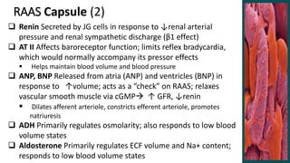 Renal Physiology and Regulation of Water and Inorganic Ions | PDF