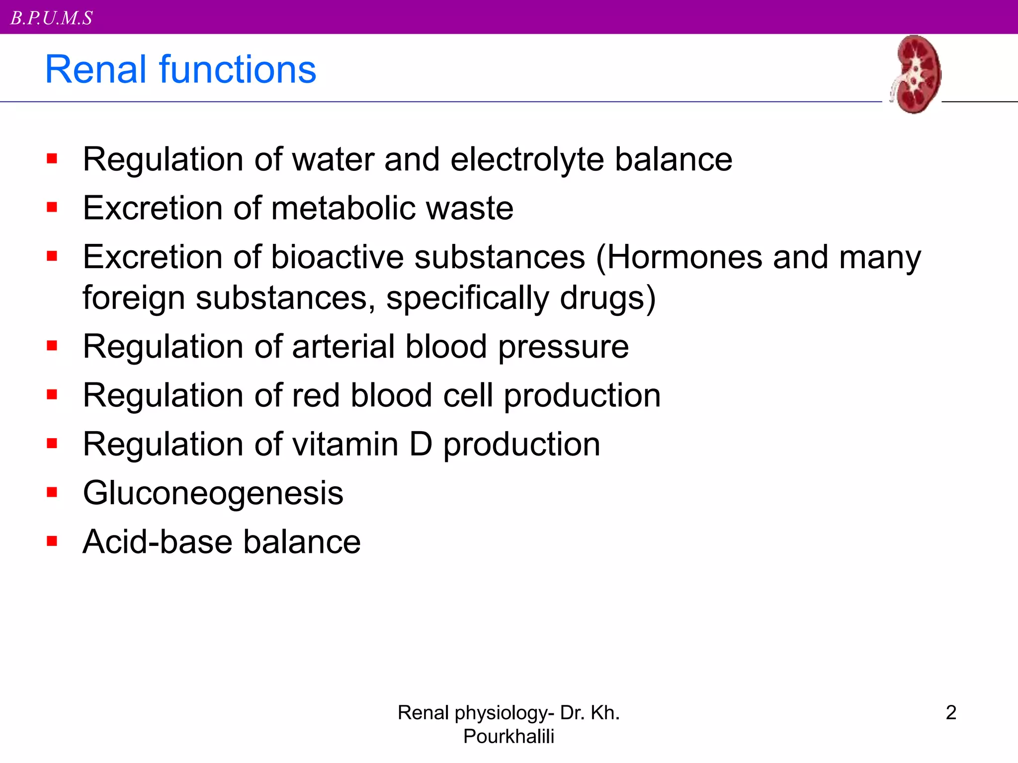 Renal physiology bpums | PPTX