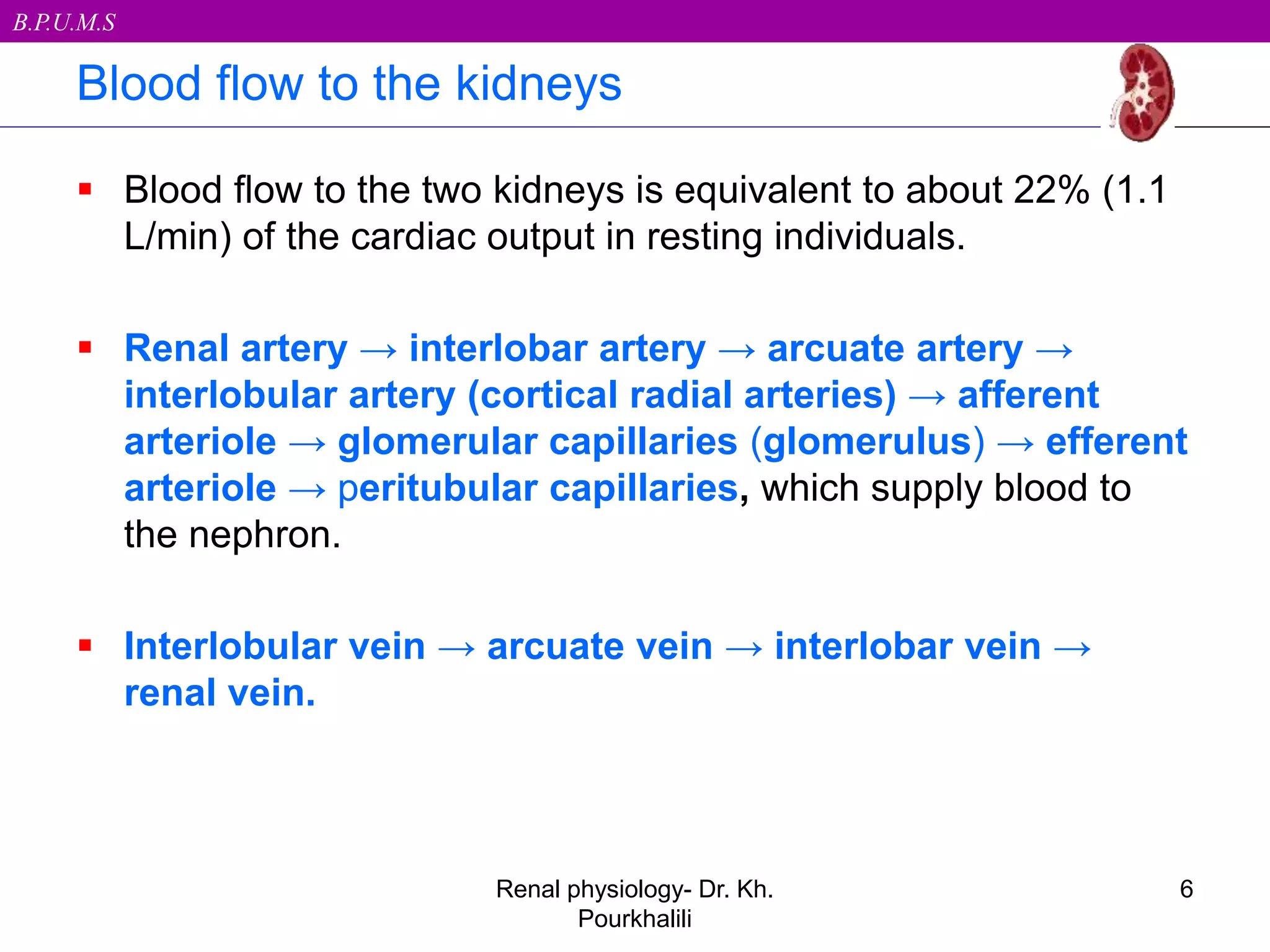 Renal physiology bpums | PPTX