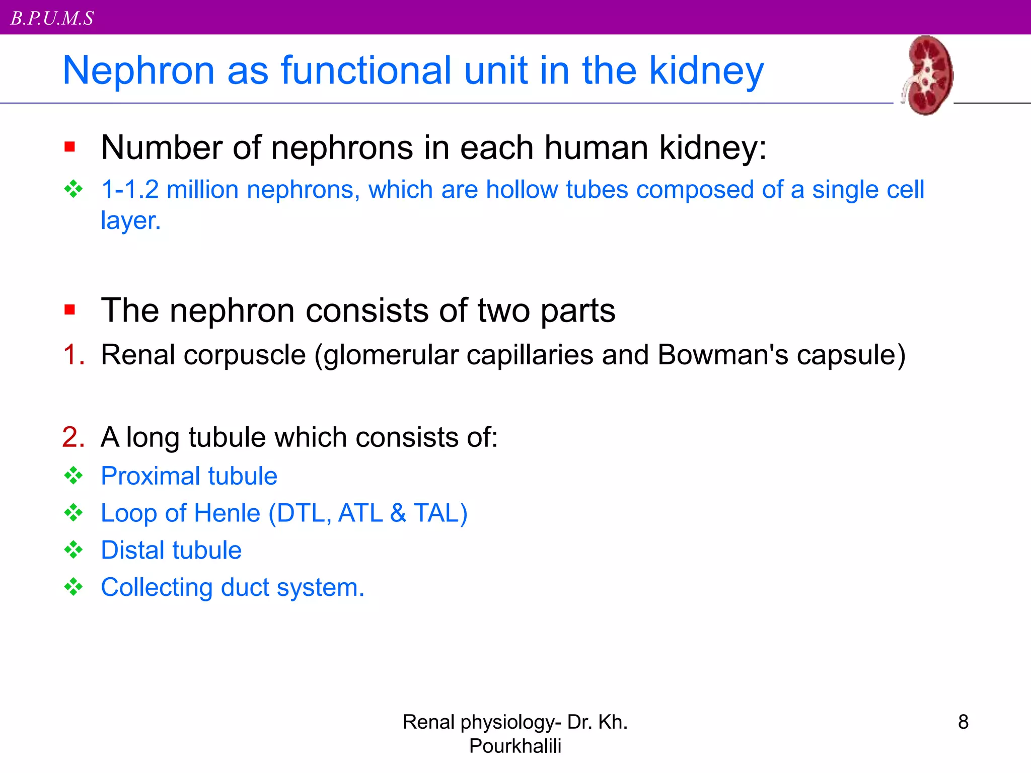 Renal physiology bpums | PPTX