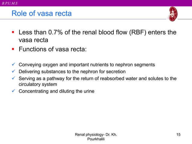 Renal physiology bpums | PPTX
