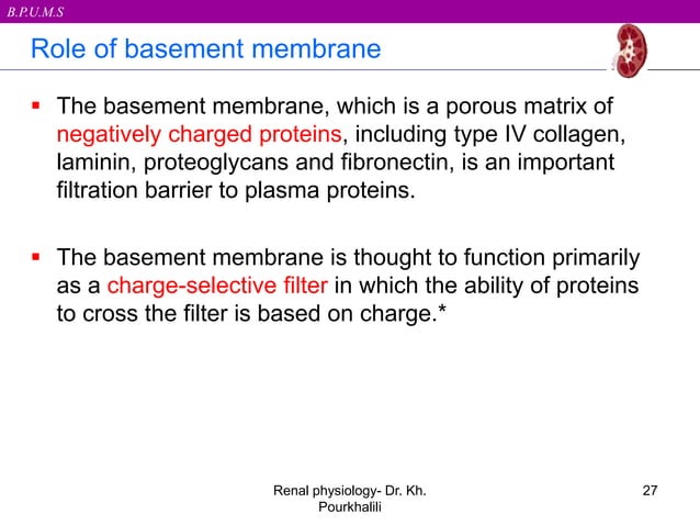 Renal physiology bpums | PPTX