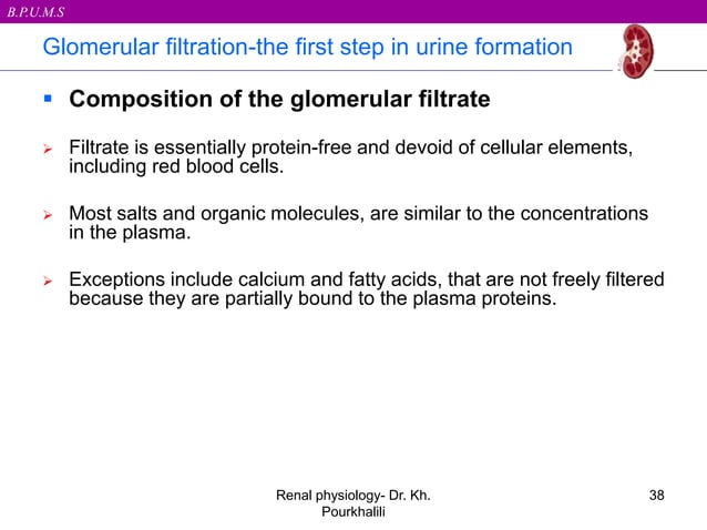 Renal physiology bpums | PPTX
