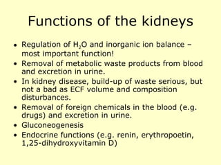 Renal physiology introduction. | PPT