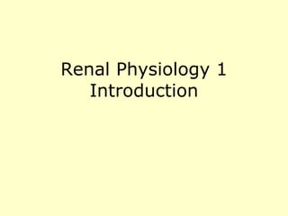 Renal physiology introduction. | PPT