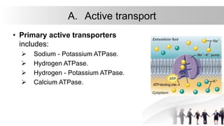 Renal physiology lecture 2 dina | PPTX