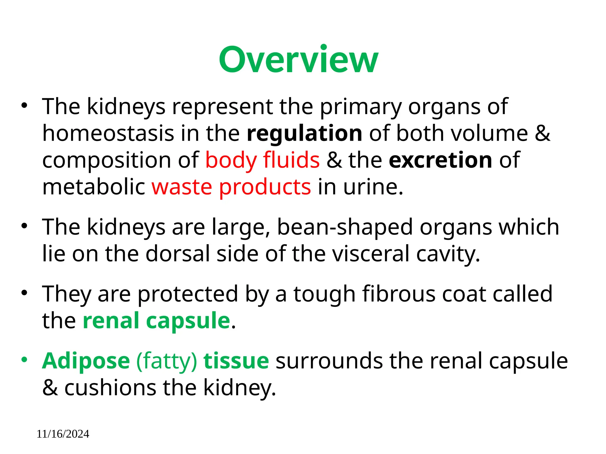 renal physiology power point presentation | PPTX