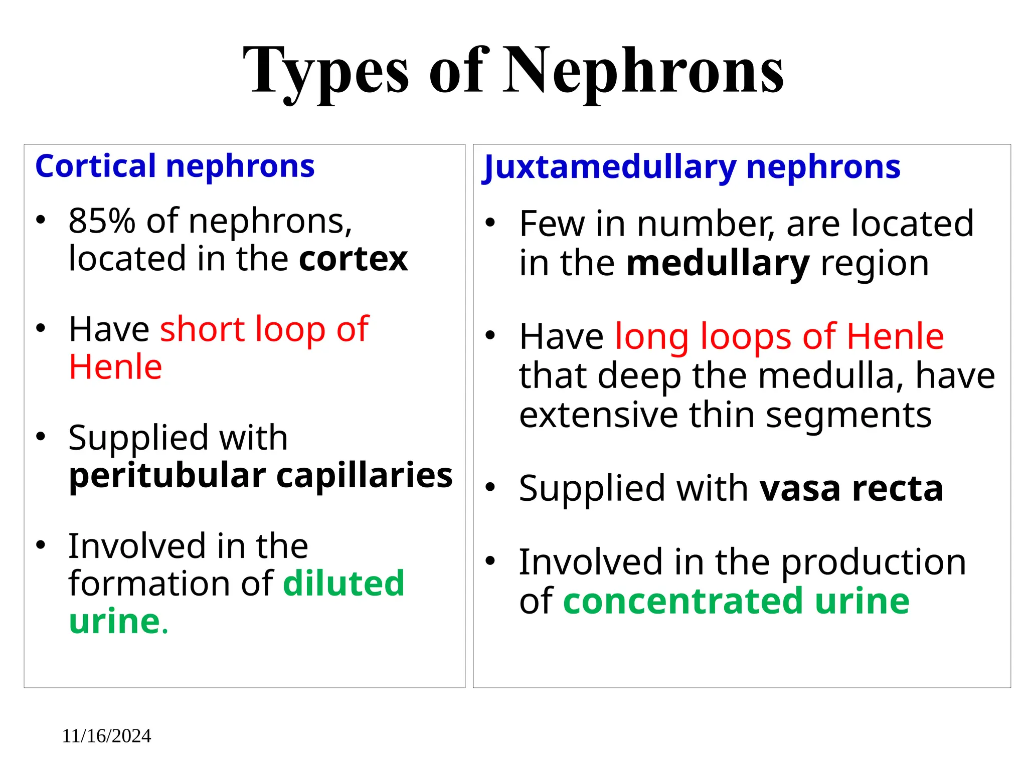renal physiology power point presentation | PPTX