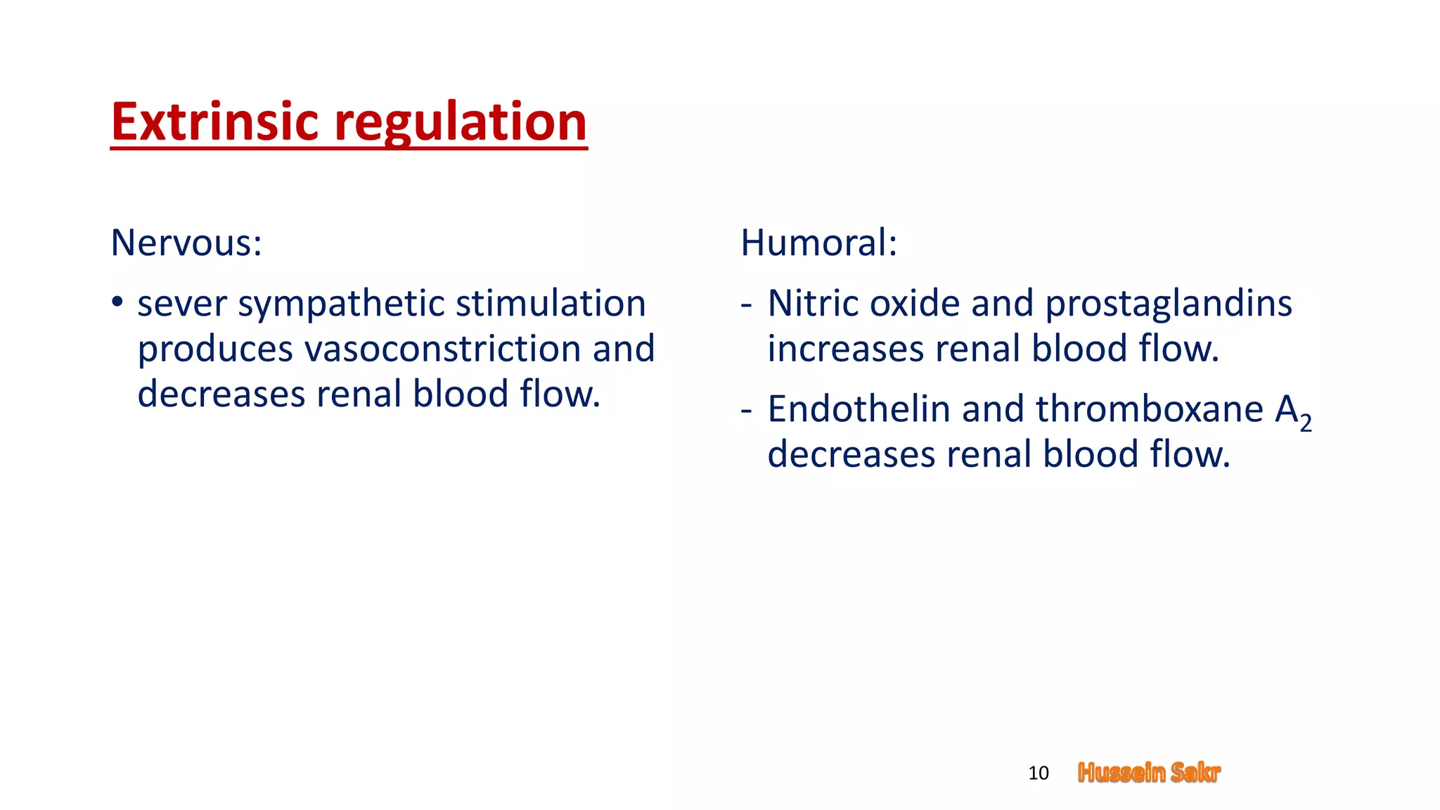 Renal physiology, renal blood flow, autoregulation, golmerular ...