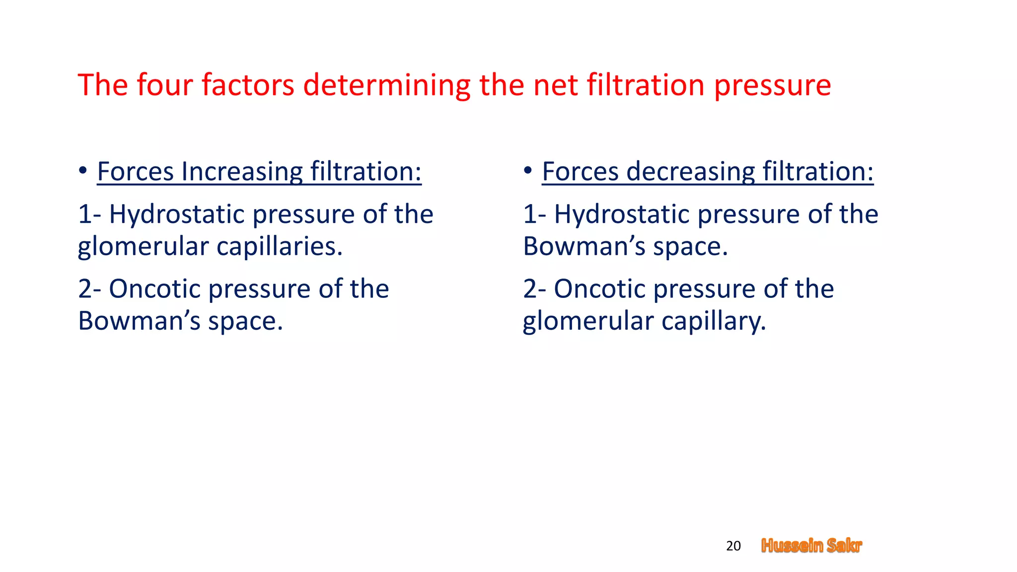 Renal physiology, renal blood flow, autoregulation, golmerular ...
