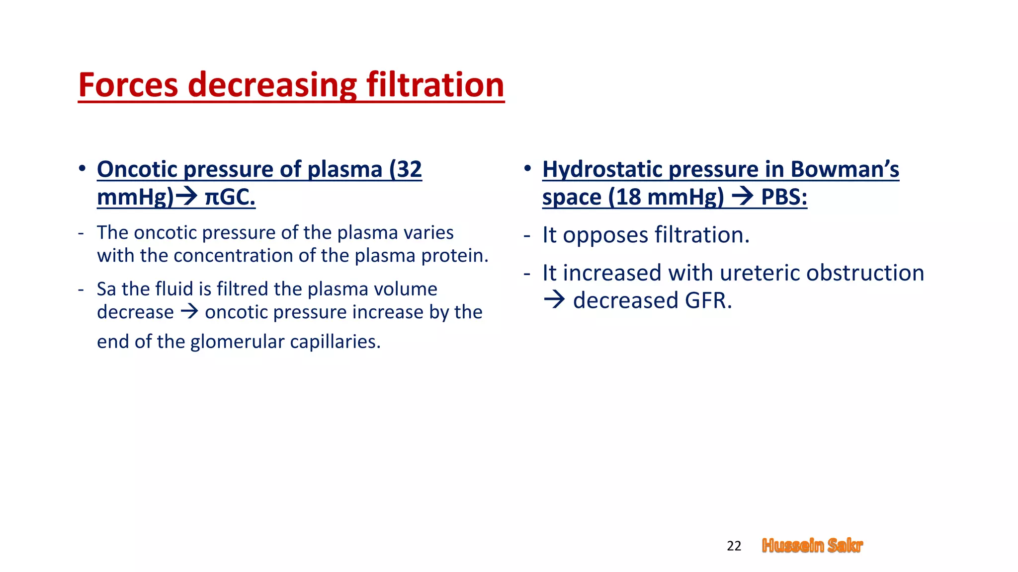 Renal physiology, renal blood flow, autoregulation, golmerular ...