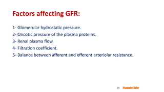 Renal physiology, renal blood flow, autoregulation, golmerular ...