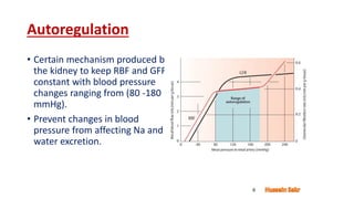 Renal physiology, renal blood flow, autoregulation, golmerular ...
