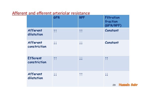 Renal physiology, renal blood flow, autoregulation, golmerular filtra…