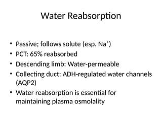 Renal_Physiology_Tubular_Reabsorption.pptx