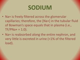 Renal anatomy and physiology seminar and chronic and acute kidney ...
