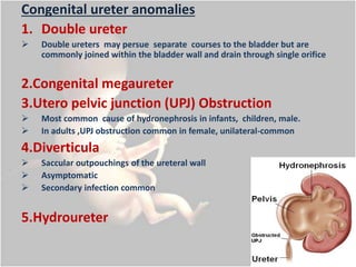 Developmental anomalies of Renal system | PPTX