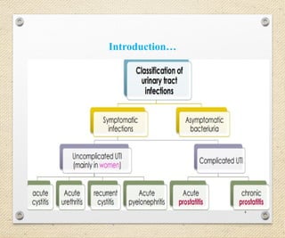Renal ppt for pcII. Pharmacology from katzung | PPTX