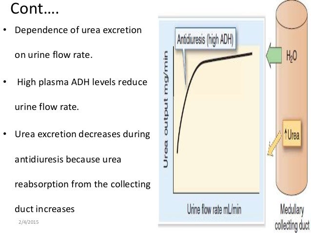 Renal presentation