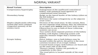 Normal anatomy of the urinary system and their ultrasound findings as ...