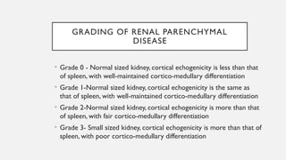 Normal anatomy of the urinary system and their ultrasound findings as ...